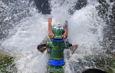 drinking-from-hydrant - Toggle Science